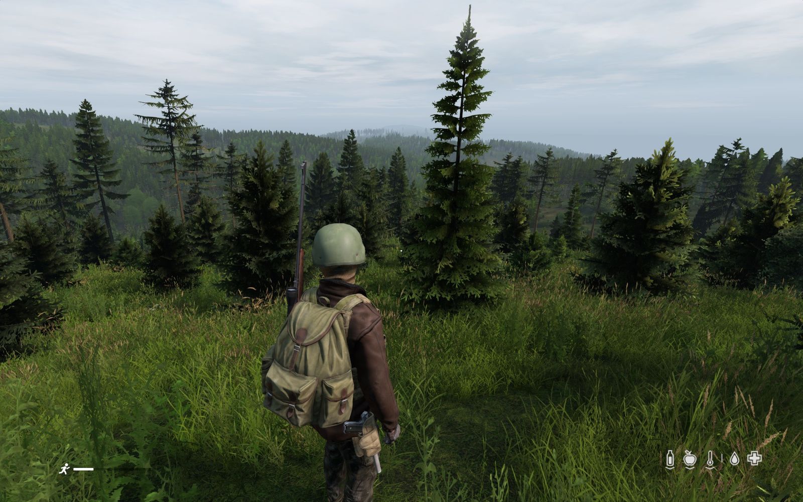 DayZ: Anfänger Guide