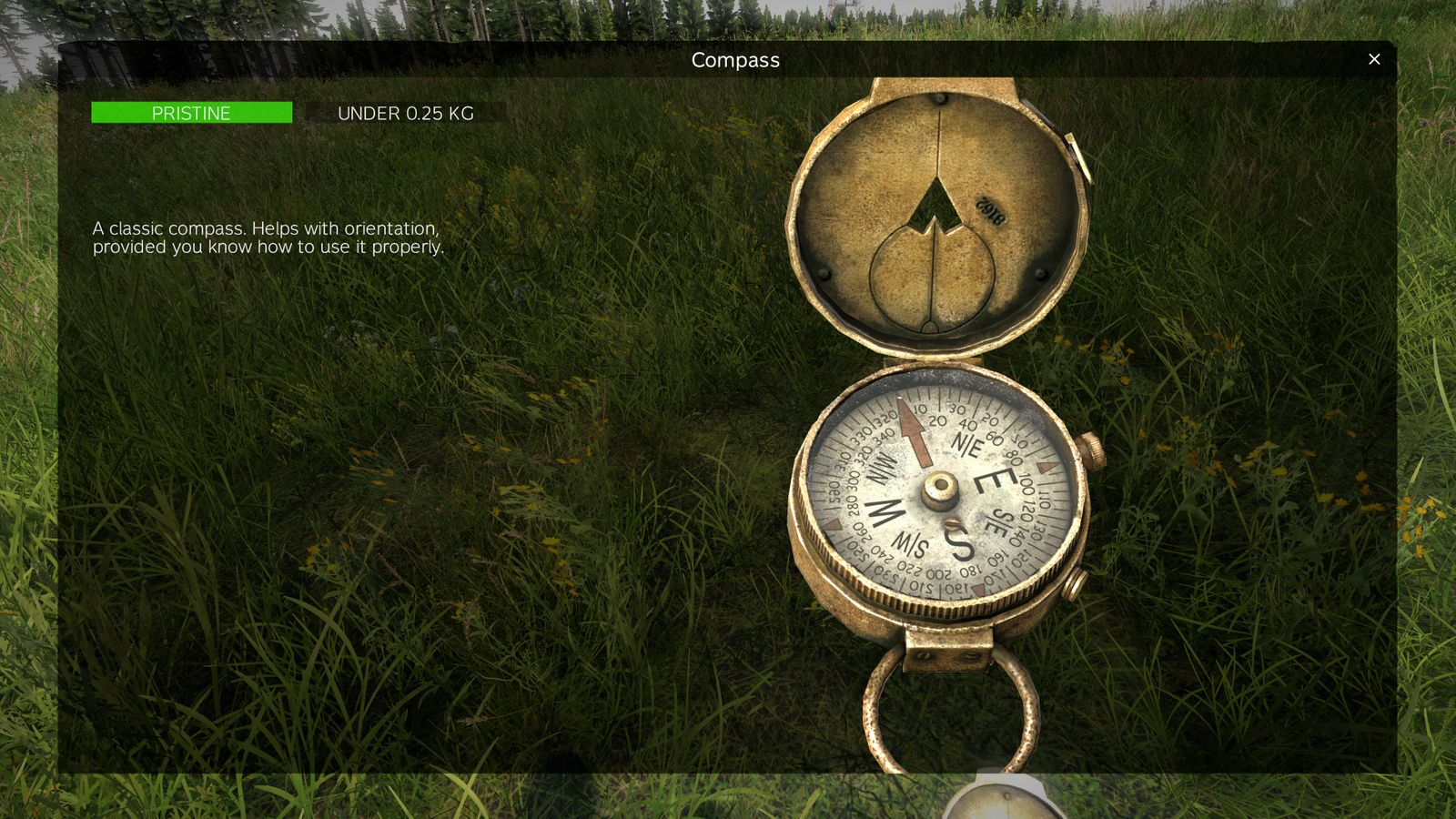 DayZ: Anfänger Guide